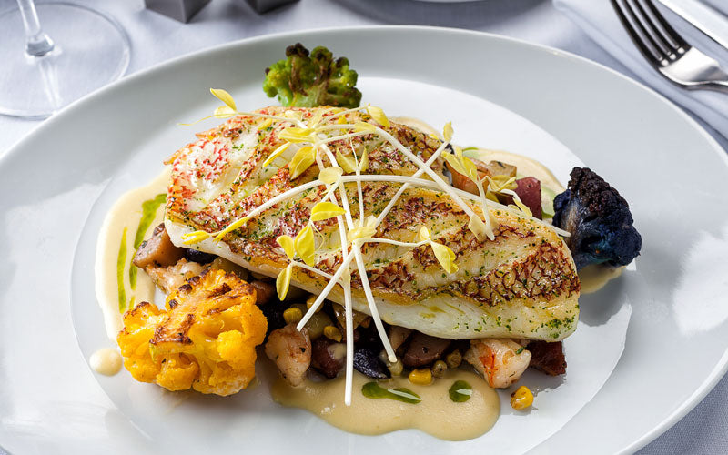 Fish – South Florida Seafood
