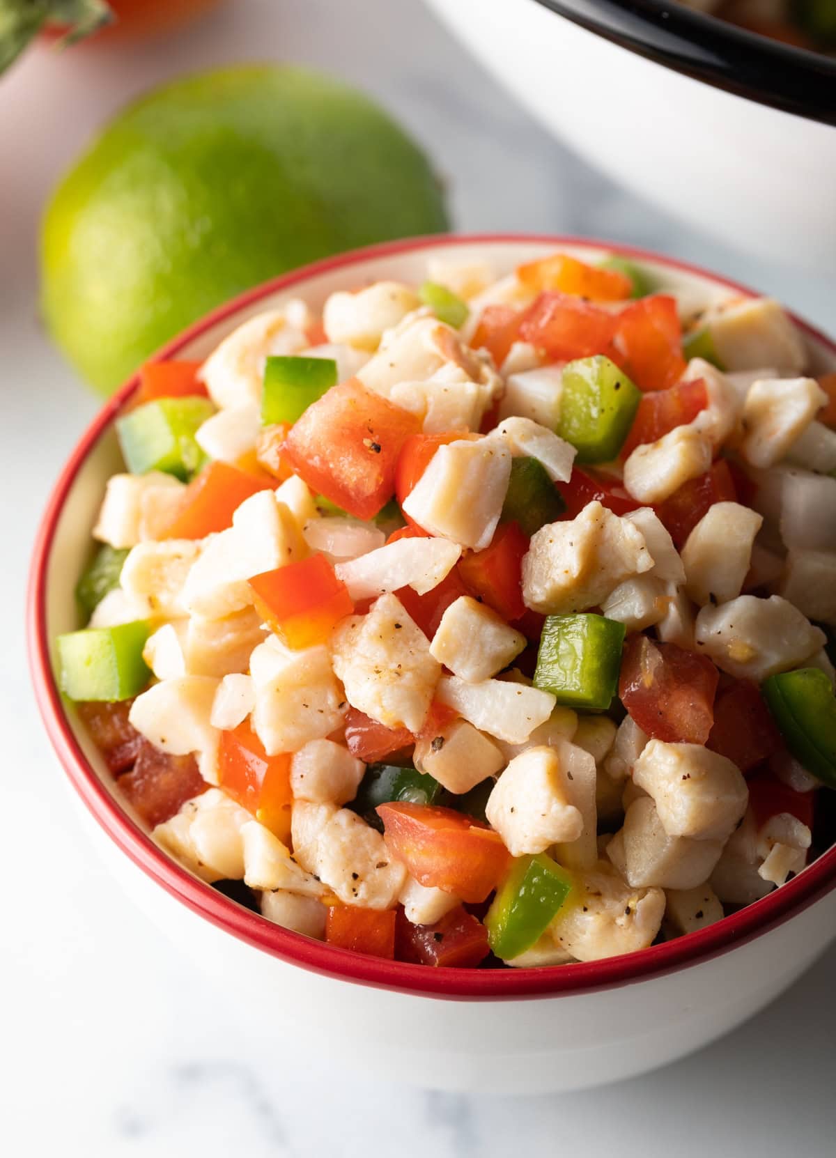 Conch Meat 95% Cleaned (94.64 for a 5 lb box) – South Florida Seafood