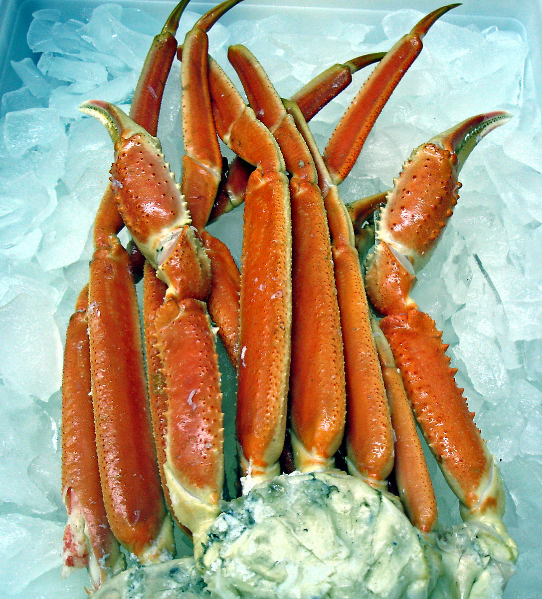 Snow Crab Clusters 5-8 (462.50 for a 30 lb case) – South Florida Seafood
